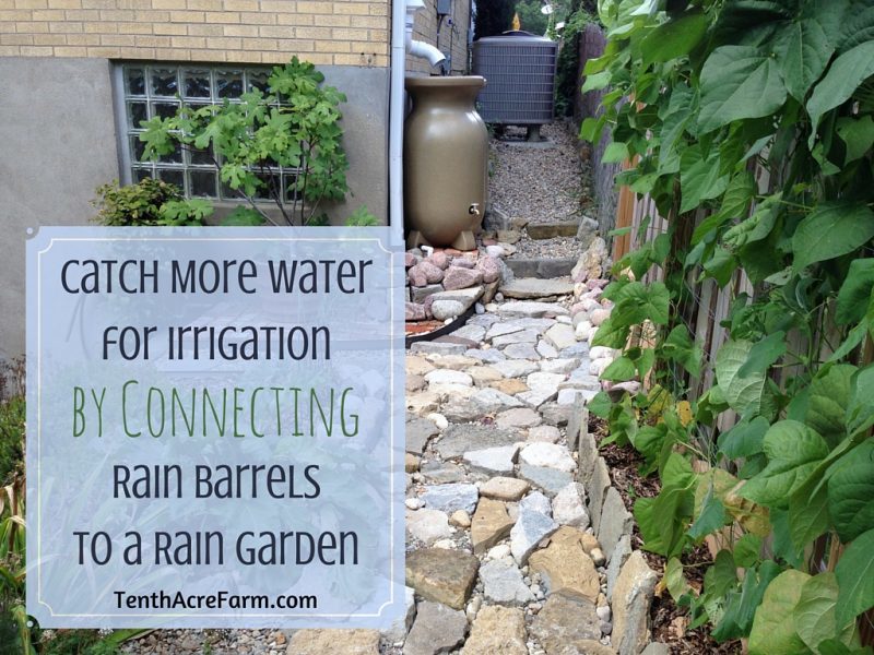 2 Ideas for Setting Up an Easy Rainwater Collection System | Rockin W ...