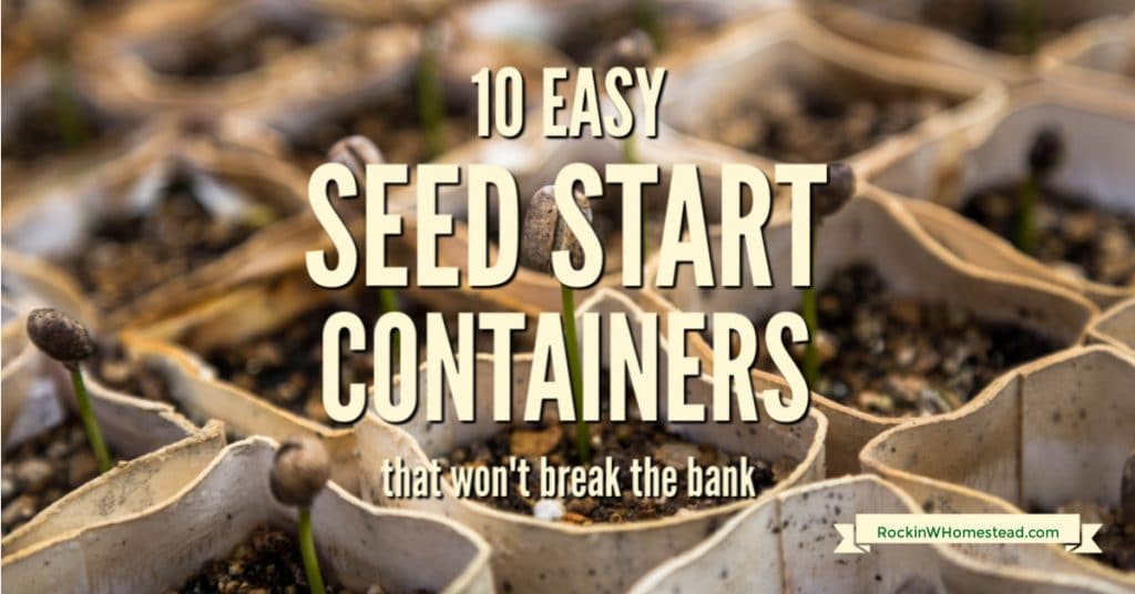10 Easy Seed Starting Containers that Won't Break the Bank | Rockin W ...