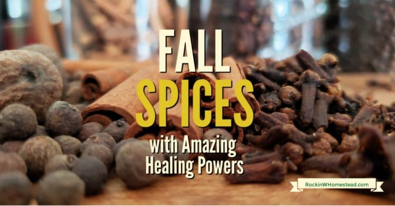 4 Fall Spices With Amazing Healing Powers | Rockin W Homestead