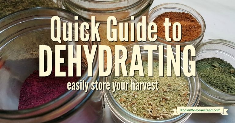 A Quick Guide To Getting Started Dehydrating | Rockin W Homestead