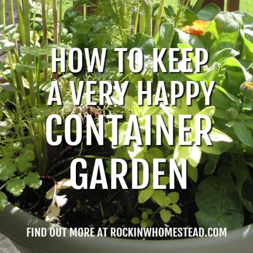 Keep a Happy Container Garden All Season Long | Rockin W Homestead