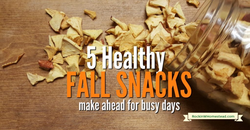 5 Healthy Fall Snacks for Busy Days | Rockin W Homestead