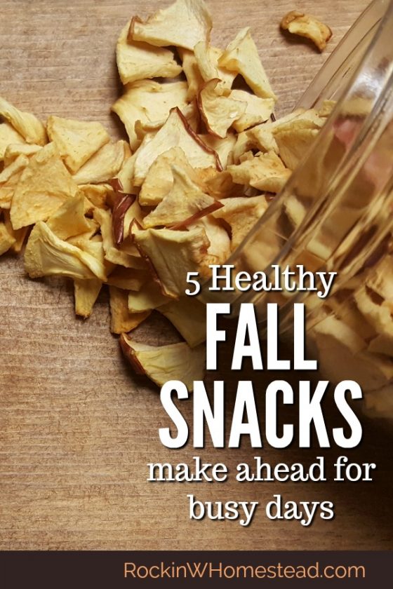 5 Healthy Fall Snacks for Busy Days | Rockin W Homestead