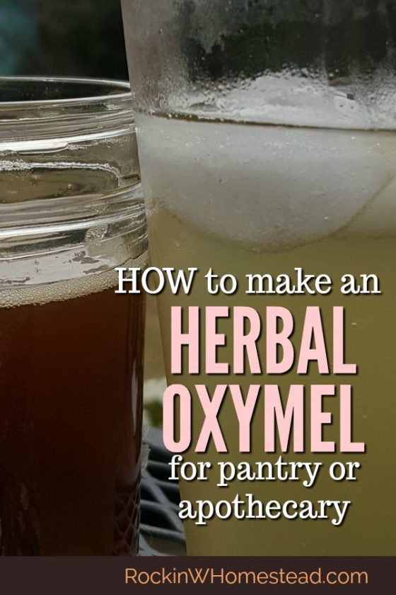 How to Make an Herbal Oxymel | Rockin W Homestead