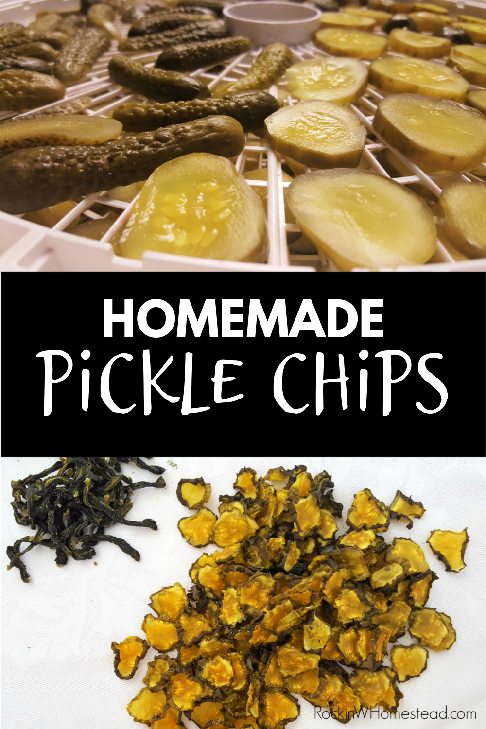 Dehydrated Pickles: For Serious Pickle Lovers ONLY | Rockin W Homestead