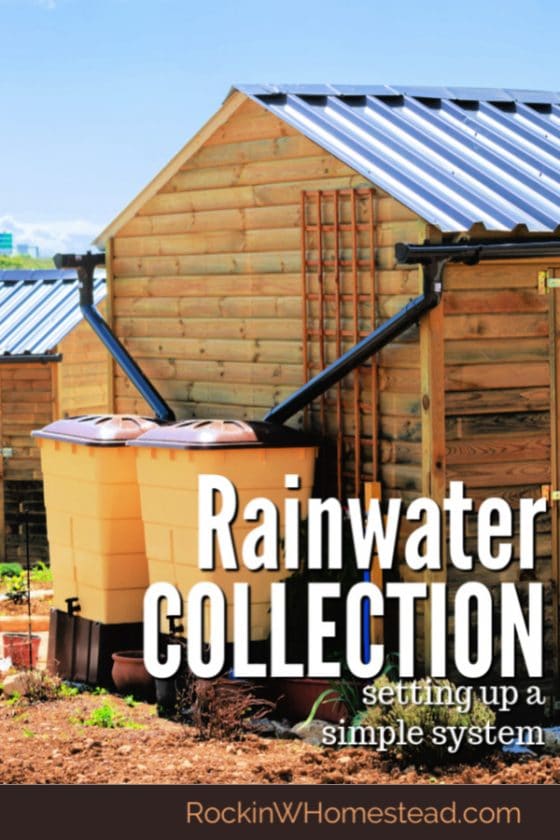 2 Ideas for Setting Up an Easy Rainwater Collection System | Rockin W ...