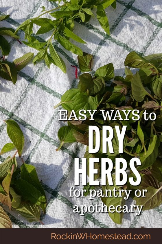 3 Easy Ways to Dry Herbs | Rockin W Homestead